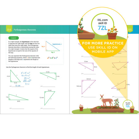IXL The Ultimate Math Workbook Grade 8 Carson-Dellosa Education® CD...