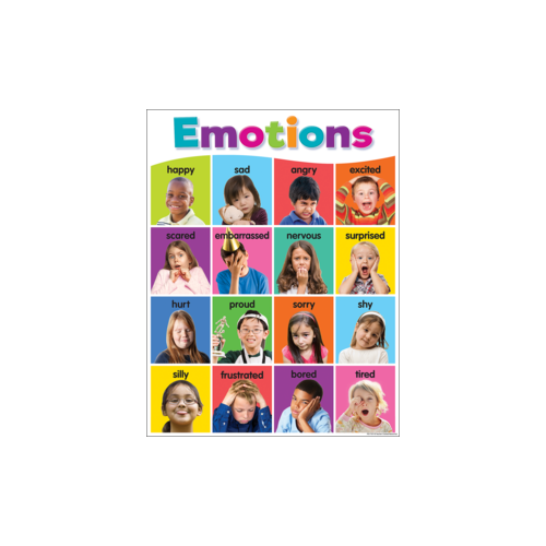 Colorful Emotions Chart Teacher Created Resources TCR-7107