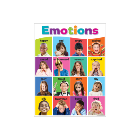 Colorful Emotions Chart Teacher Created Resources TCR-7107